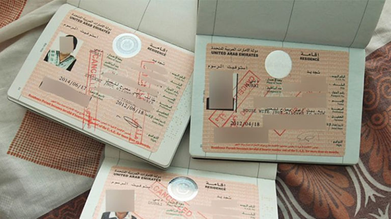 Updates That All Work Permit Visa Holder Of UAE Must Know