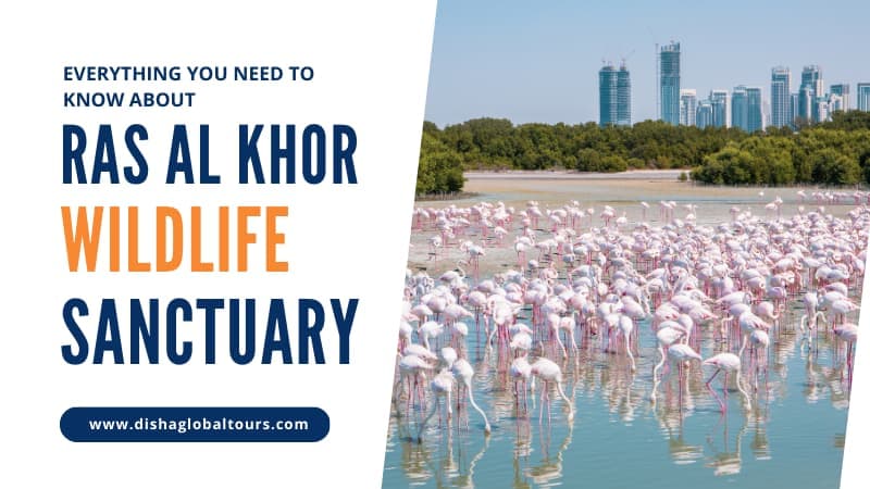 Ras Al Khor Wildlife Sanctuary | Ras Al Khor | Travel Agency